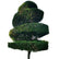 Damas tree, Conocarpus erectus Dubai UAE best plant shop – FOP